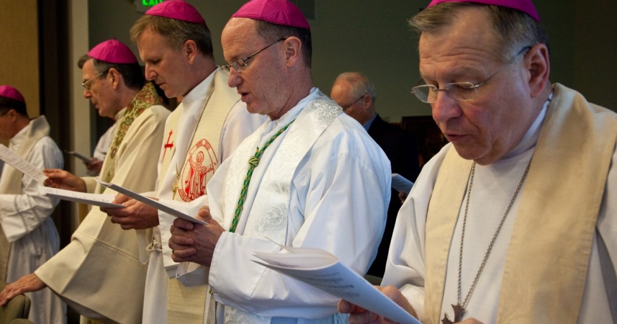 Bishops | Catholic Leadership Institute